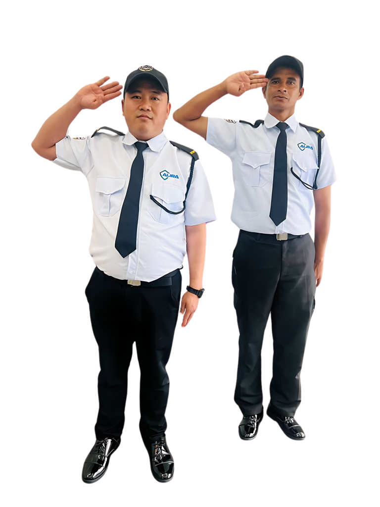 OUR SERVICES – AURASECURITY